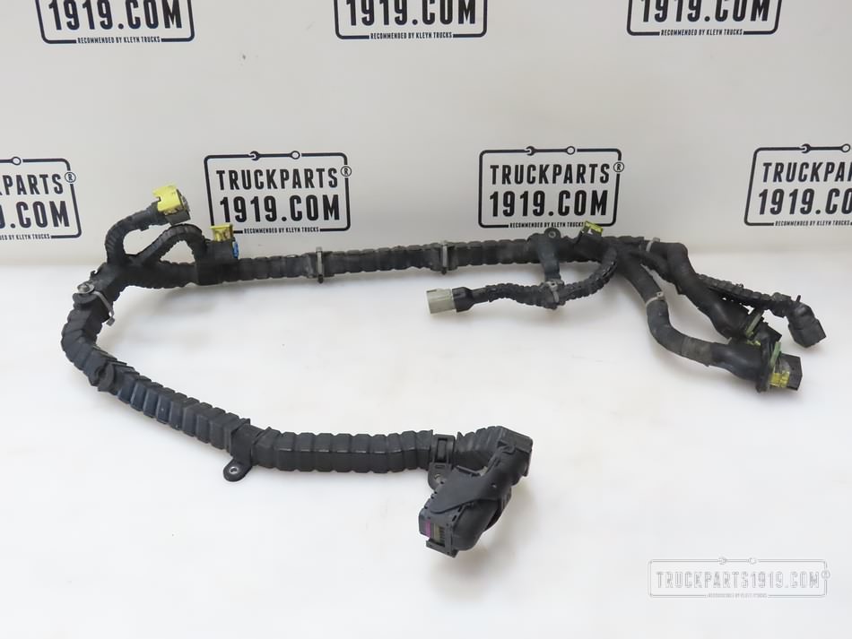 Wiring harness catalyst DAF 2038420 - Truckparts 1919